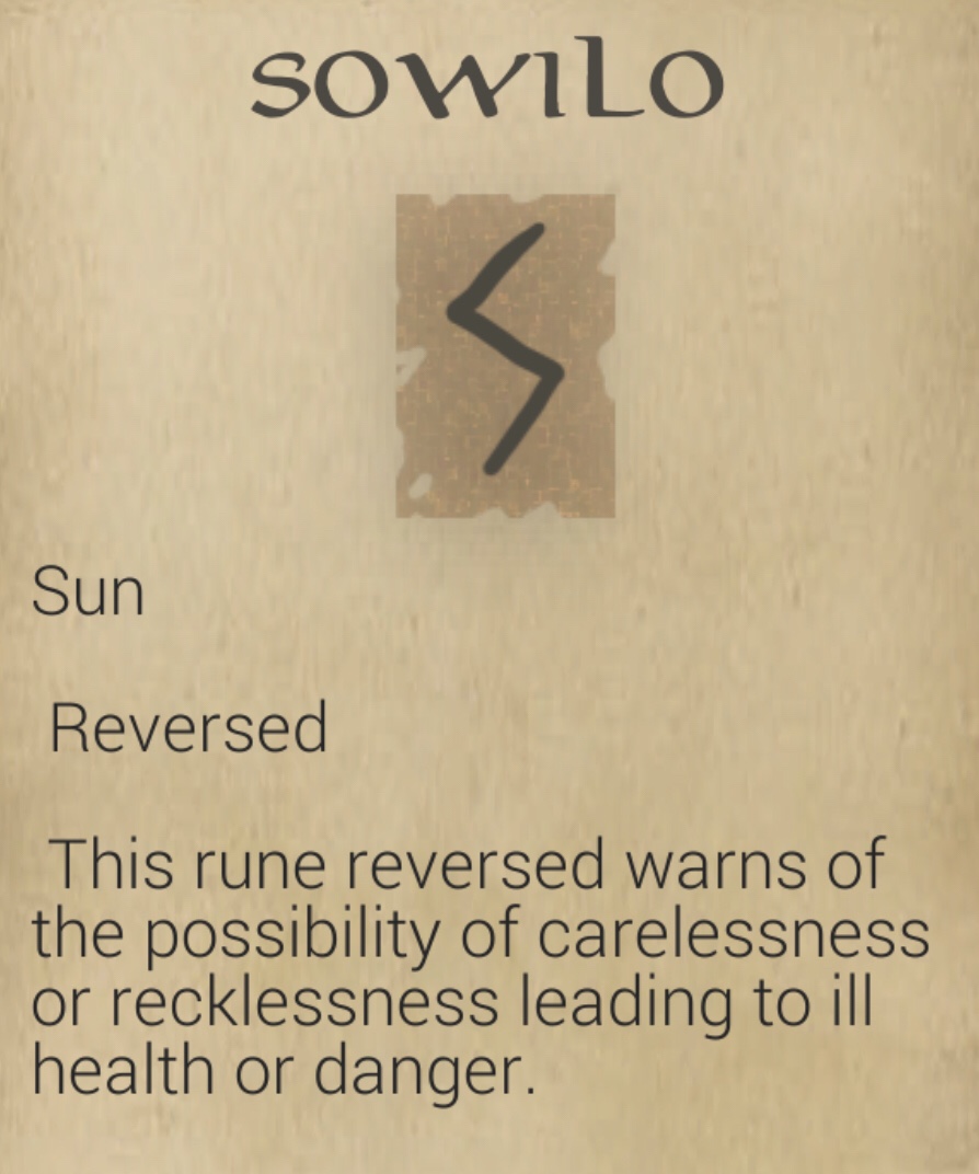 Sowilo – David Given Schwarm